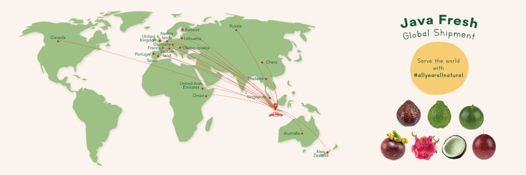 Our Network - Javafresh