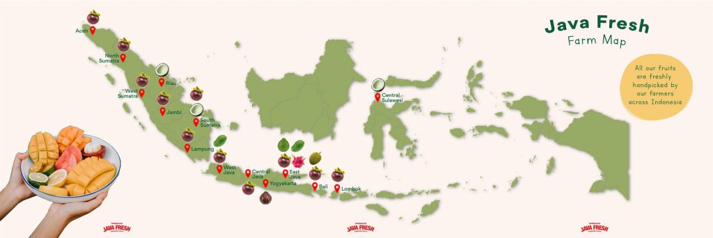 Our Network - Javafresh