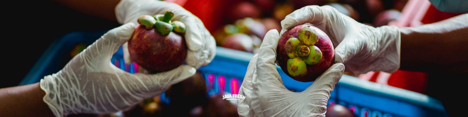 Home Javafresh - Javafresh